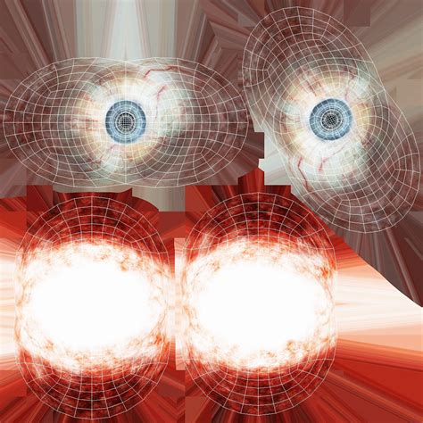 Female Nervous System 3d Model 79 3ds Blend C4d Fbx Max Ma