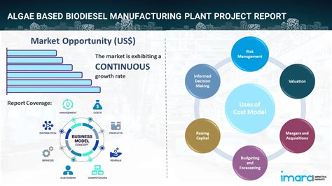 Algae Based Biodiesel Manufacturing Plant Report 2025 Setup Cost