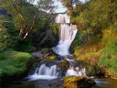 Moving Nature Background 