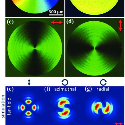 Radial And Azimuthal Polarization Optical Vortex Converter For Circular Download Scientific