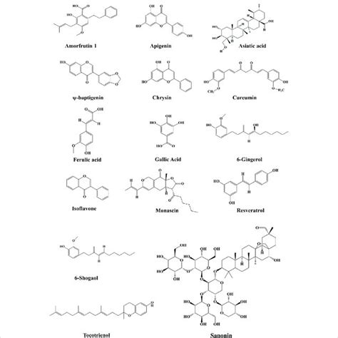 The Domain Structure Of Ppar γ And Their Mode Of Action A Domain