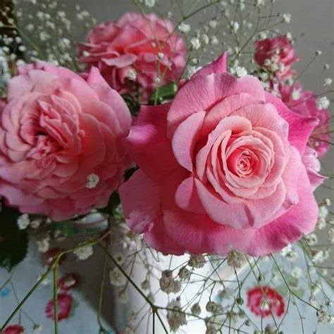 اكروب شباب بابل اجبله