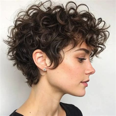 15 Cute Curly Pixie Cuts For Bold Look Curly Pixie Hairstyles Curly