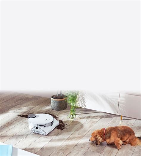 Pet Care | Home Appliances for Pet Hair Removal | Samsung AU