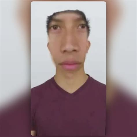 Face Distorted Filter By Alex Snapchat Lenses