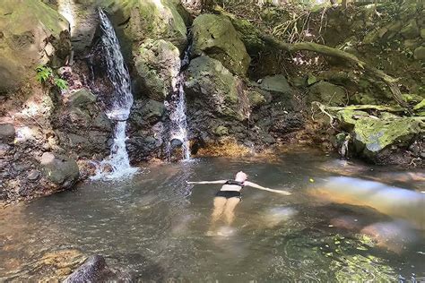 2 Ways To Hike The Judd Trail And Jackass Ginger Pool Near Honolulu