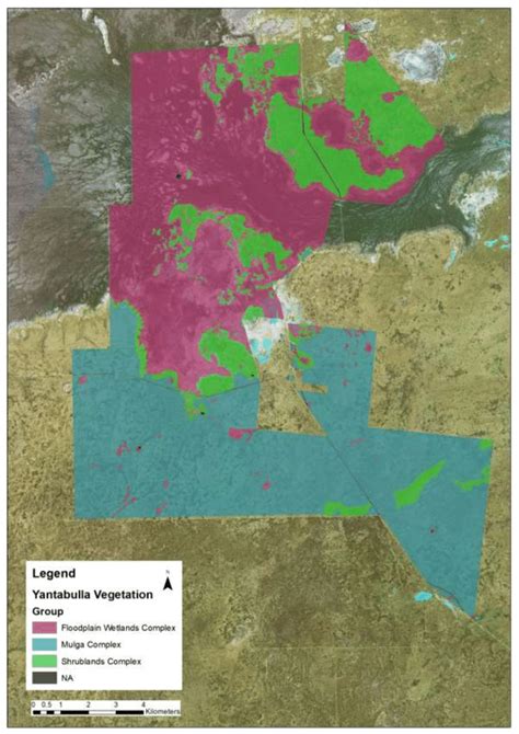 Vegetation Map At The Group Level Of Classification Download Scientific Diagram