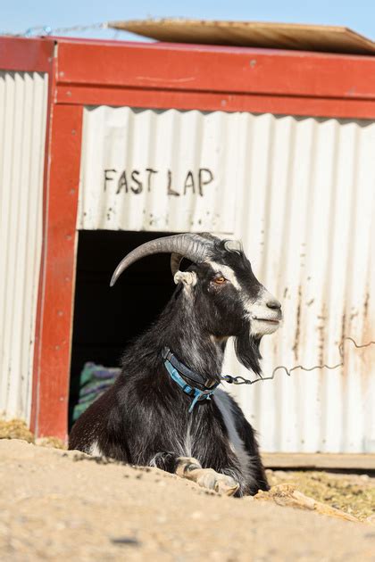 Jesse White Photography Mvds 45 6