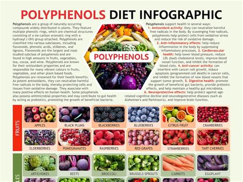 Polyphenol Food Chart Antioxidant Rich Foods Guide Pdf Download A4