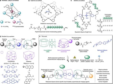 Prominent Examples Of Supramolecular Complexes Developed As Molecular Download Scientific