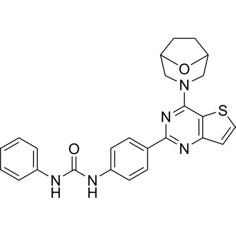 Mtor Inhibitor 16 Mtor Inhibitor Medchemexpress