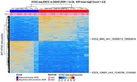 Truong Nguyen Phd On Linkedin Atac Seq Analysis Using R Intro An Assay For…
