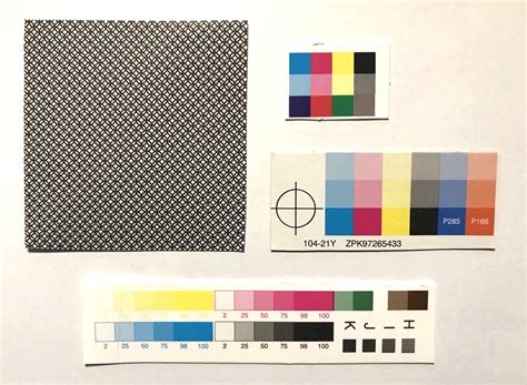 Another Old Astronomy Guy Taking Up Microscopy Cloudy Days