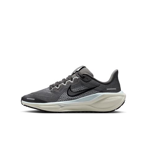 Nike Pegasus Nike Sg