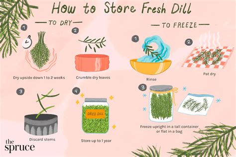 Can You Preserve Fresh Dill At Marjorie Summerville Blog