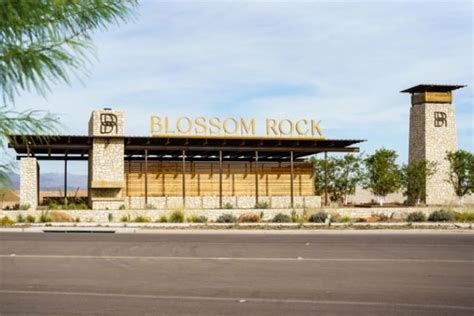 Blossom Rock New Home Community In East Valley Phoenix Metro
