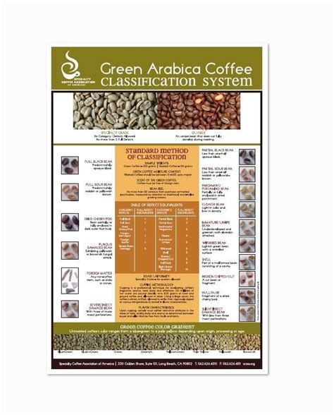 Green Arabica Coffee Classification System Print Version Arabica