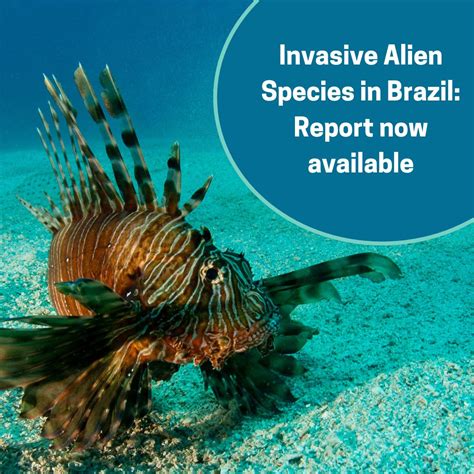 Ipbesstakeholders Ipbes