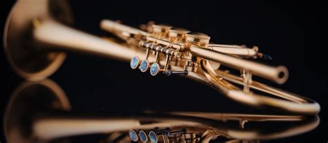Schagerl Online Shop Music Instruments And Accessories