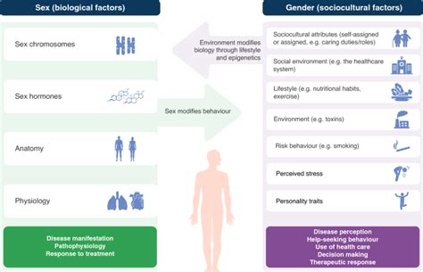 Sex And Gender Differences In Intensive Care Medicine Intensive Care… Hamid Merdji