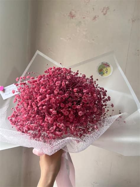 قیمت و خرید دسته گل ژیپسوفیلا صورتی تحویل به موقع