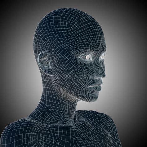 3d Illustration Wireframe Young Human Female Or Woman Face Or Head