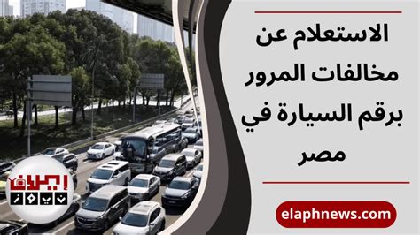 الاستعلام عن مخالفات المرور برقم السيارة في مصر ايلاف نيوز العربي