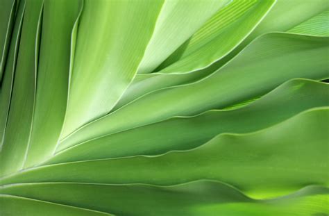 Esg Aml Compliance And The Convergence Of Social Concerns Money