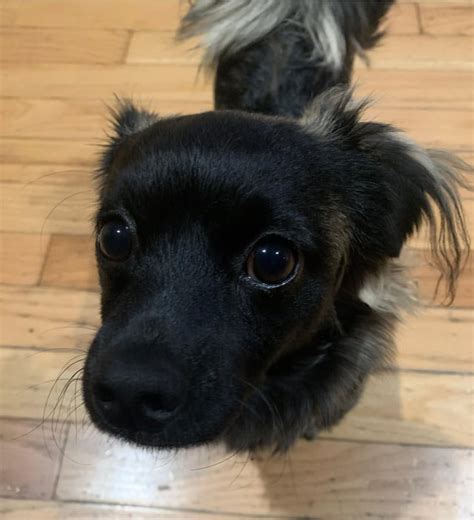 Forced Bro To Watch Fabss R Realfabss