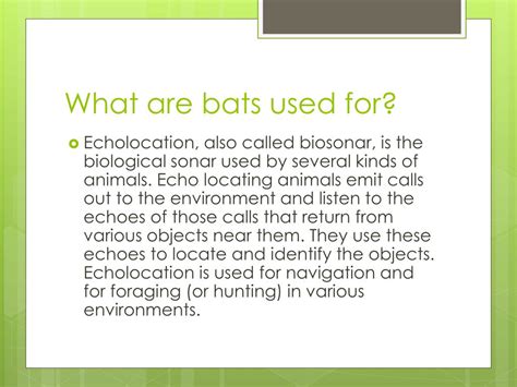 Ppt Bats Echolocation Powerpoint Presentation Free Download Id2836844