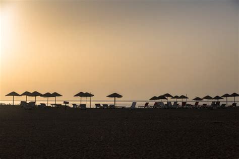 Imágenes De Orrange Descubre Bancos De Fotos Ilustraciones Vectores