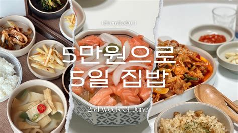 식비절약 5만원으로 일주일 집밥 해먹기 6월2주차 식비절약브이로그 집밥브이로그 Youtube