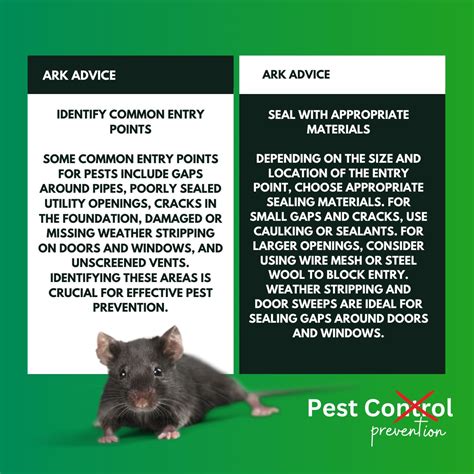 How To Protect Your Business From Pests Ark Pest Control Ltd Posted