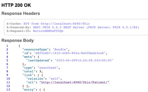 Manage FHIR Resources Using FHIR Engine Library Open Health Stack Google For Developers