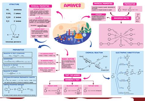 Amines Mind Map Pdf