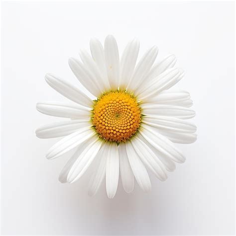 Premium Ai Image A Close Up Of A Flower On A White Surface Generative