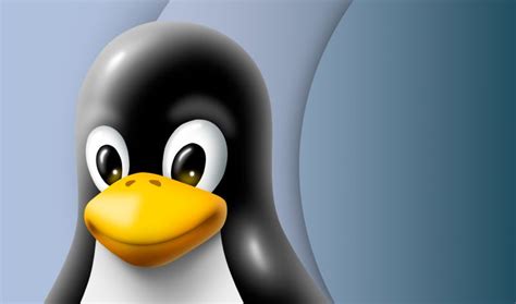 Dangerous Linux Wiper Malware Hidden Within Go Modules On Github