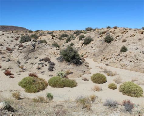 Desert Geological Terms Unique Rock Formations And Definitions