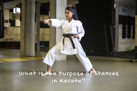 Kenjutsu Stances