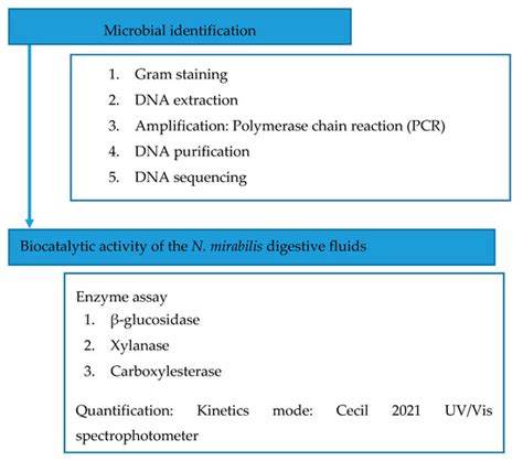 Processes Special Issue Sustainable Biorefinery Processes