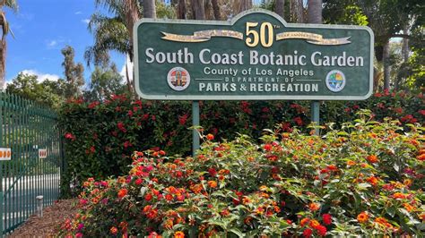 Whats Blooming In The Garden Week Of June 19 South Coast Botanic