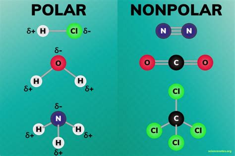 Is N Pentane An Ionic Molecular Nonpolar Or Molecular Polar Compound