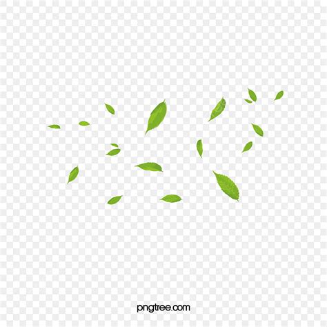 Floating Leaf Vector Hd Images Green Leaf Floating Material Small