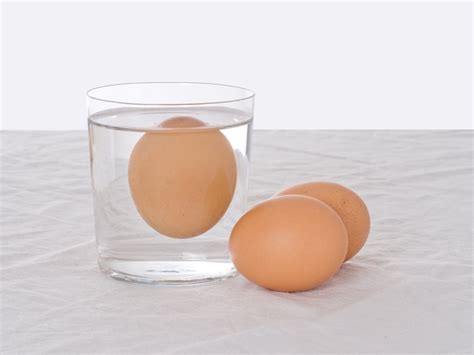 Why Do Old Eggs Float Scienceabc
