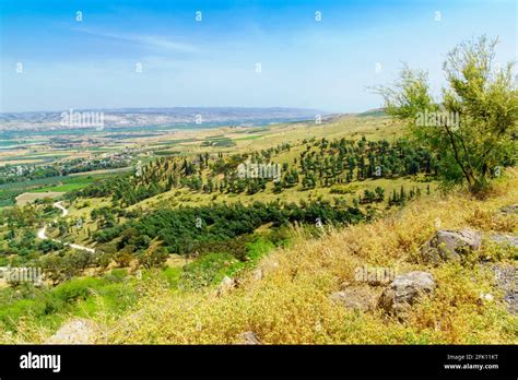 View Of The Landscape Of The Lower Jordan River Valley Northern Israel