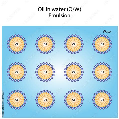 Emulsifier Types Structure Emulsion Oil In Water Water In Oil