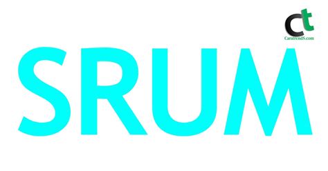 Penjelasan Daily Scrum