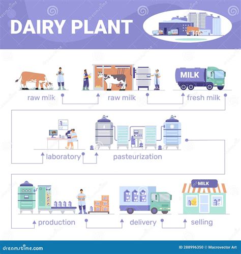 Dairy Plant Flat Infographics Stock Vector Illustration Of Industry