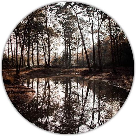 Wanddecoratie Bos Eese Fabryk Design Decoaction Nl