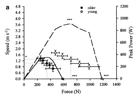 What Happens To Muscle Structure In Old Age And What Does It Mean For